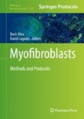 Myofibroblast Markers and Microscopy Detection Methods in Cell Culture ...
