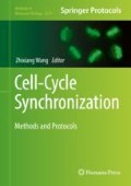 Synchronization of Cultured Cells to G1, S, G2, and M Phases by Double ...