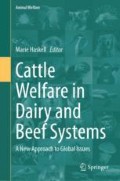 Welfare of Beef Cattle in Intensive Systems | SpringerLink