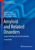 Amyloidosis of the Lymph Nodes and the Spleen | SpringerLink