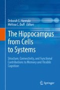Hippocampal Development: Structure, Function and Implications ...