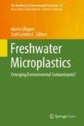 Microplastic: What Are the Solutions? | SpringerLink