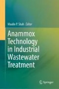 Anammox Cell Biology, Metabolism, Growth, and Genetics | SpringerLink