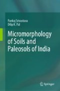 Micromorphology of Soils and Paleosols: Overview and Introduction ...