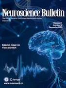 Volume 41, Issue 12 | Neuroscience Bulletin