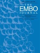 Volume 3, Issue 6 | The EMBO Journal | Springer Nature Link