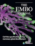 Volume 43, Issue 12 | The EMBO Journal