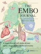 Volume 43, Issue 14 | The EMBO Journal