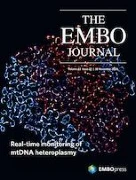 Volume 43, Issue 22 | The EMBO Journal