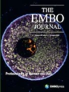 Volume 44, Issue 16 | The EMBO Journal