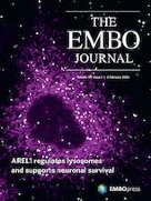 Volume 45, Issue 3 | The EMBO Journal | Springer Nature Link