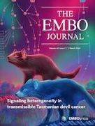 Volume 45, Issue 5 | The EMBO Journal | Springer Nature Link
