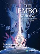 Volume 45, Issue 6 | The EMBO Journal | Springer Nature Link