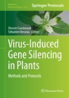 Virus-Induced Gene Silencing (VIGS) in Chili Pepper (Capsicum spp.) | SpringerLink