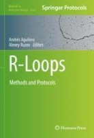 Detection of R-Loop Structures by Immunofluorescence Using the S9.6 ...