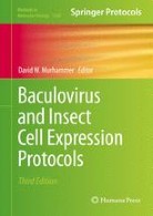 Gene Silencing in Insect Cells Using RNAi | SpringerLink