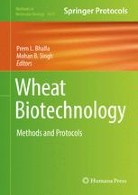 Doubled Haploid Laboratory Protocol for Wheat Using Wheat–Maize Wide ...