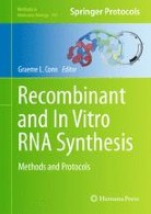 Splint Ligation of RNA with T4 DNA Ligase | SpringerLink