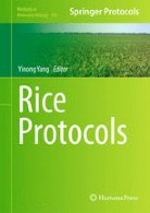 Rice Protocols | SpringerLink