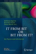 It From Bit or Bit From It? | SpringerLink