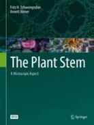 The Plant Stem | SpringerLink