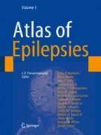 Focal Status Epilepticus | Springer Nature Link