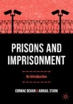 Life, Culture and Adaptation in Prison | Springer Nature Link