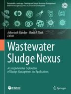 Understanding the Environmental and Health Implications of Sludge ...