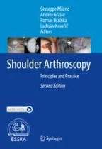 Arthroscopic Treatment of Hill-Sachs Lesions | Springer Nature Link