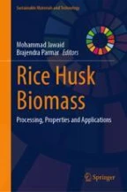 Physical and Chemical Properties of Rice Husk | Springer Nature Link