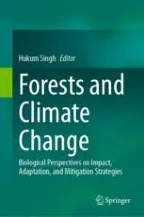The Importance of Conserving Existing Forest Areas and Protecting ...