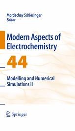 Modelling and Numerical Simulations II | SpringerLink