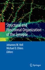 Structural and Functional Organization of the Synapse | SpringerLink