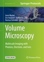 Volume Microscopy: Multiscale Imaging with Photons, Electrons, and Ions ...