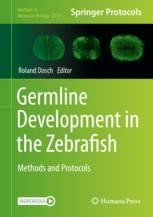 Germline Development in the Zebrafish: Methods and Protocols | SpringerLink