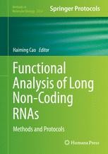 Functional Analysis of Long Non-Coding RNAs: Methods and Protocols | SpringerLink