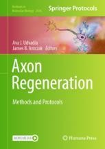 Axon Regeneration: Methods and Protocols | SpringerLink
