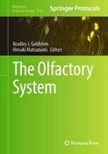The Olfactory System | Springer Nature Link (formerly SpringerLink)