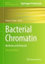 Bacterial Chromatin: Methods and Protocols | Springer Nature Link (formerly SpringerLink)