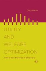 Utility and Welfare Optimization: Theory and Practice in Electricity ...