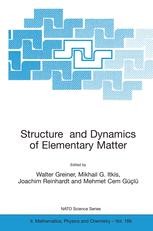 Structure and Dynamics of Elementary Matter | SpringerLink
