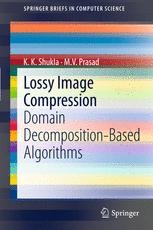 Lossy Image Compression: Domain Decomposition-Based Algorithms ...