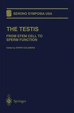 The Testis: From Stem Cell to Sperm Function | SpringerLink