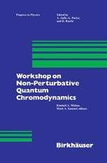 Workshop on Non-Perturbative Quantum Chromodynamics | SpringerLink