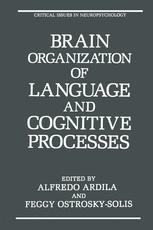 Brain Organization of Language and Cognitive Processes | SpringerLink