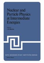 Nuclear and Particle Physics at Intermediate Energies | SpringerLink