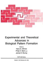 Experimental and Theoretical Advances in Biological Pattern Formation ...