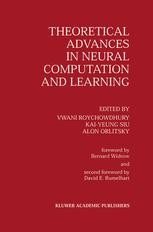 Theoretical Advances in Neural Computation and Learning | SpringerLink
