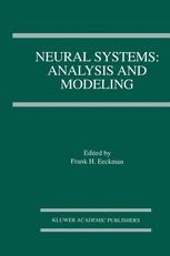 Neural Systems: Analysis and Modeling | SpringerLink