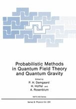 Probabilistic Methods in Quantum Field Theory and Quantum Gravity | SpringerLink